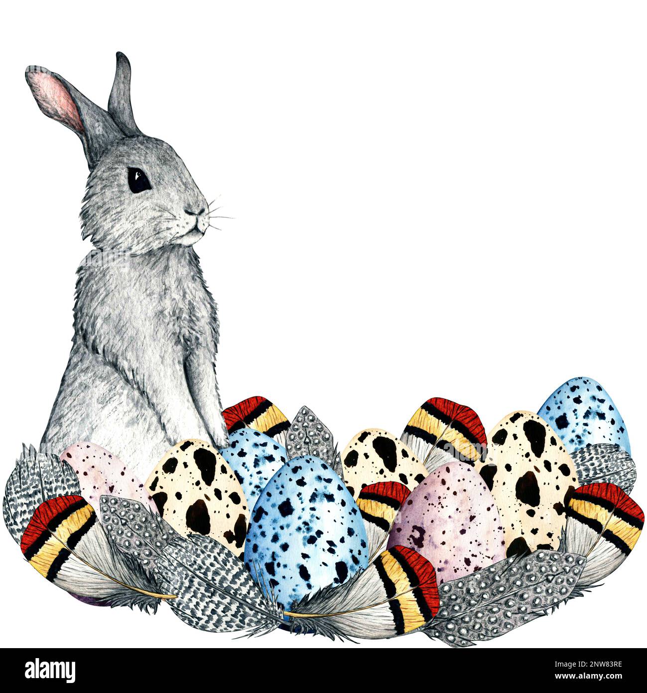 Watercolor easter spring illustration with feathers, rabbit, colored ...