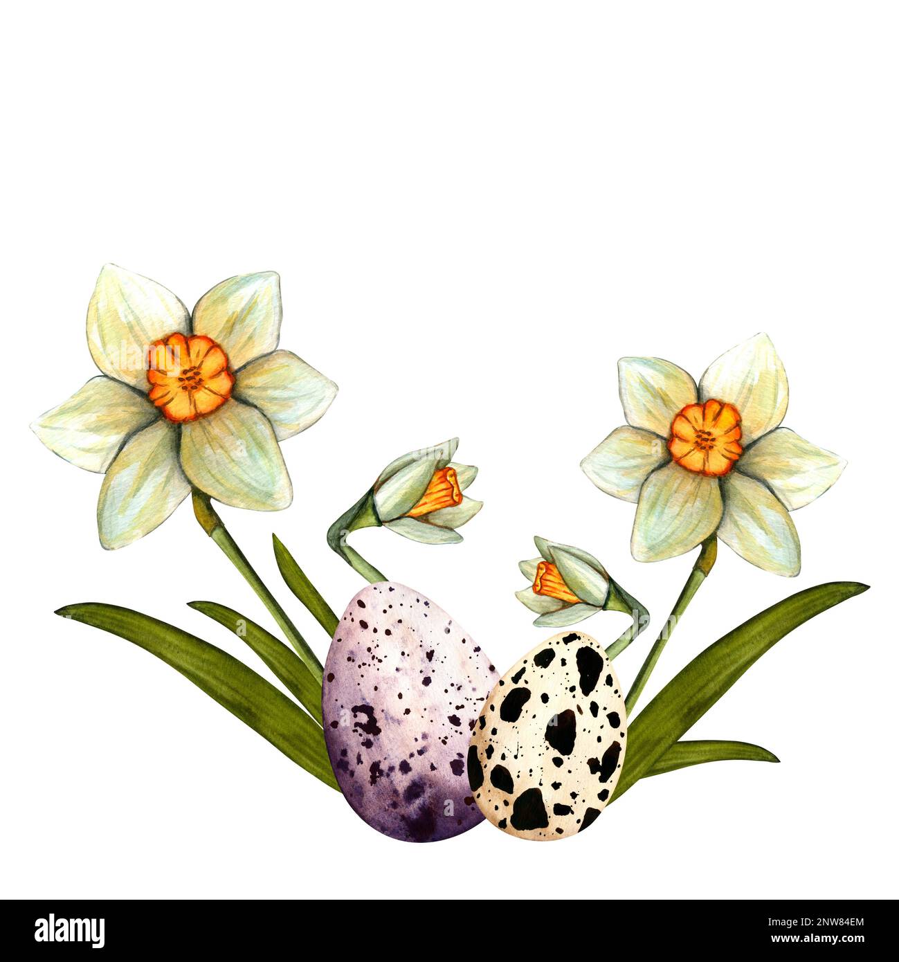 Watercolor easter spring illustration with daffodils and colored eggs ...
