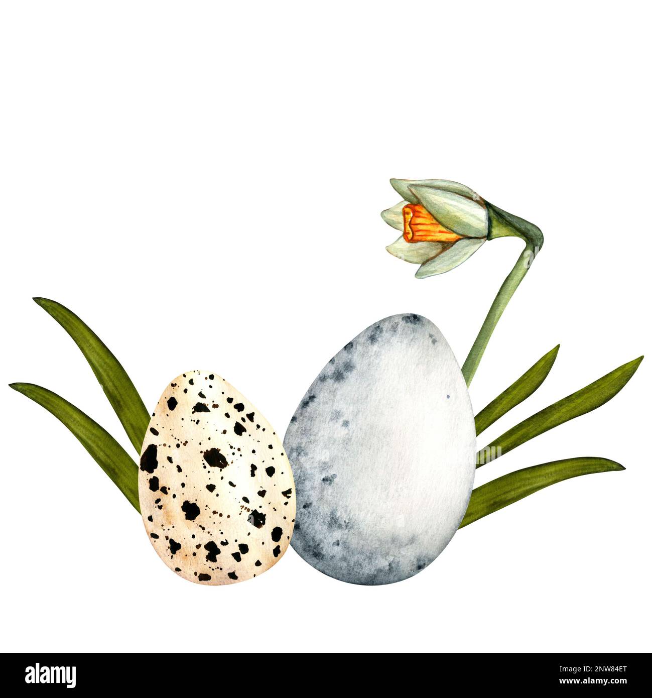 Watercolor easter spring illustration with daffodils and colored eggs ...