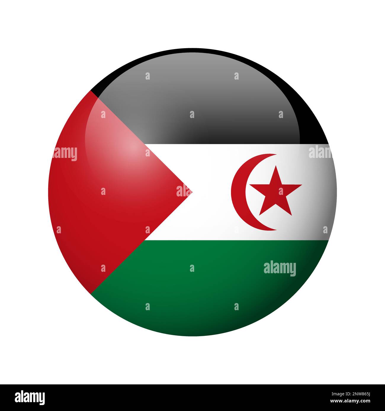 Sahrawi Arab Democratic Republic flag - glossy circle badge. Vector icon Stock Vector Image ...