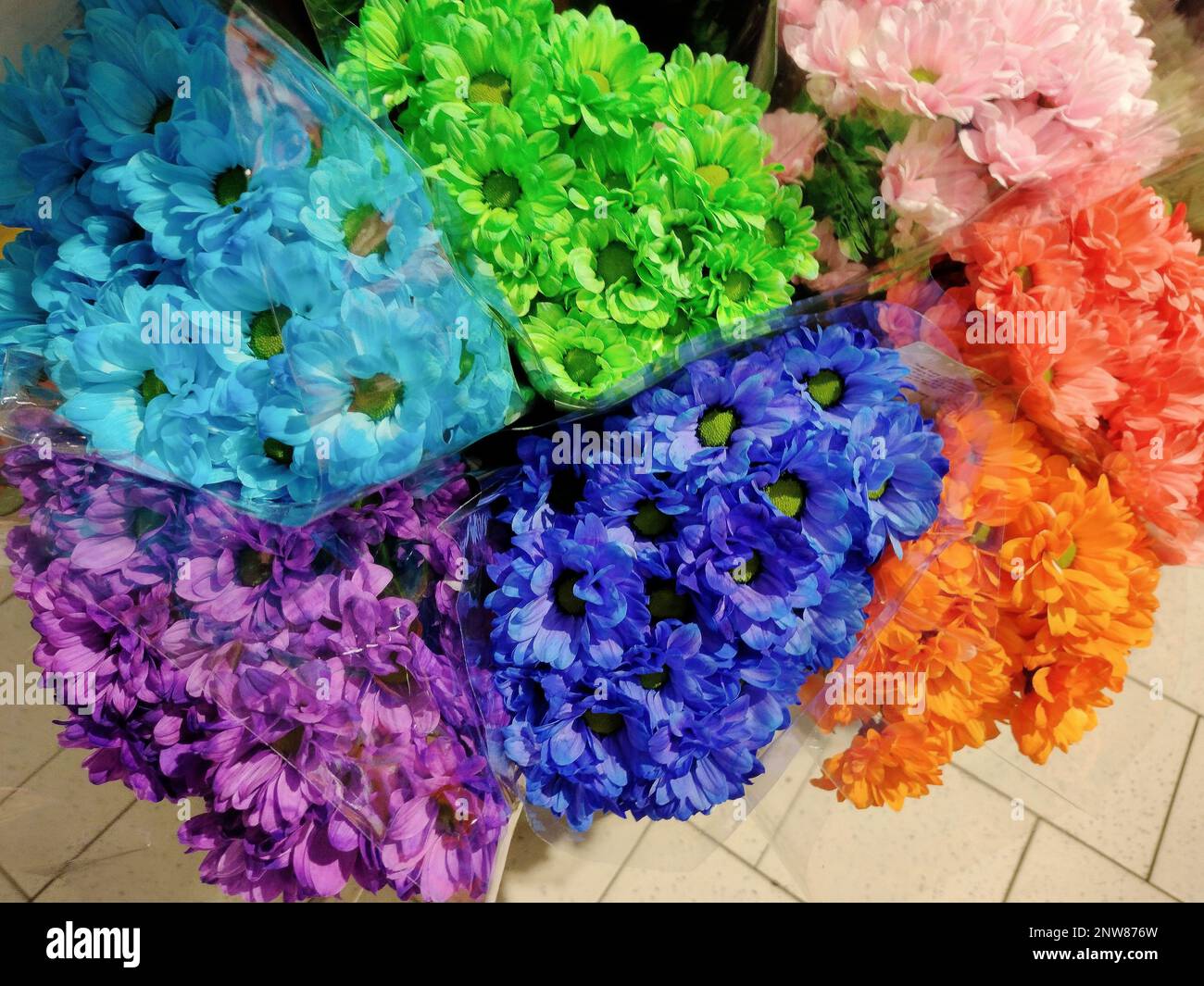 Flowers of various colors hi-res stock photography and images - Alamy