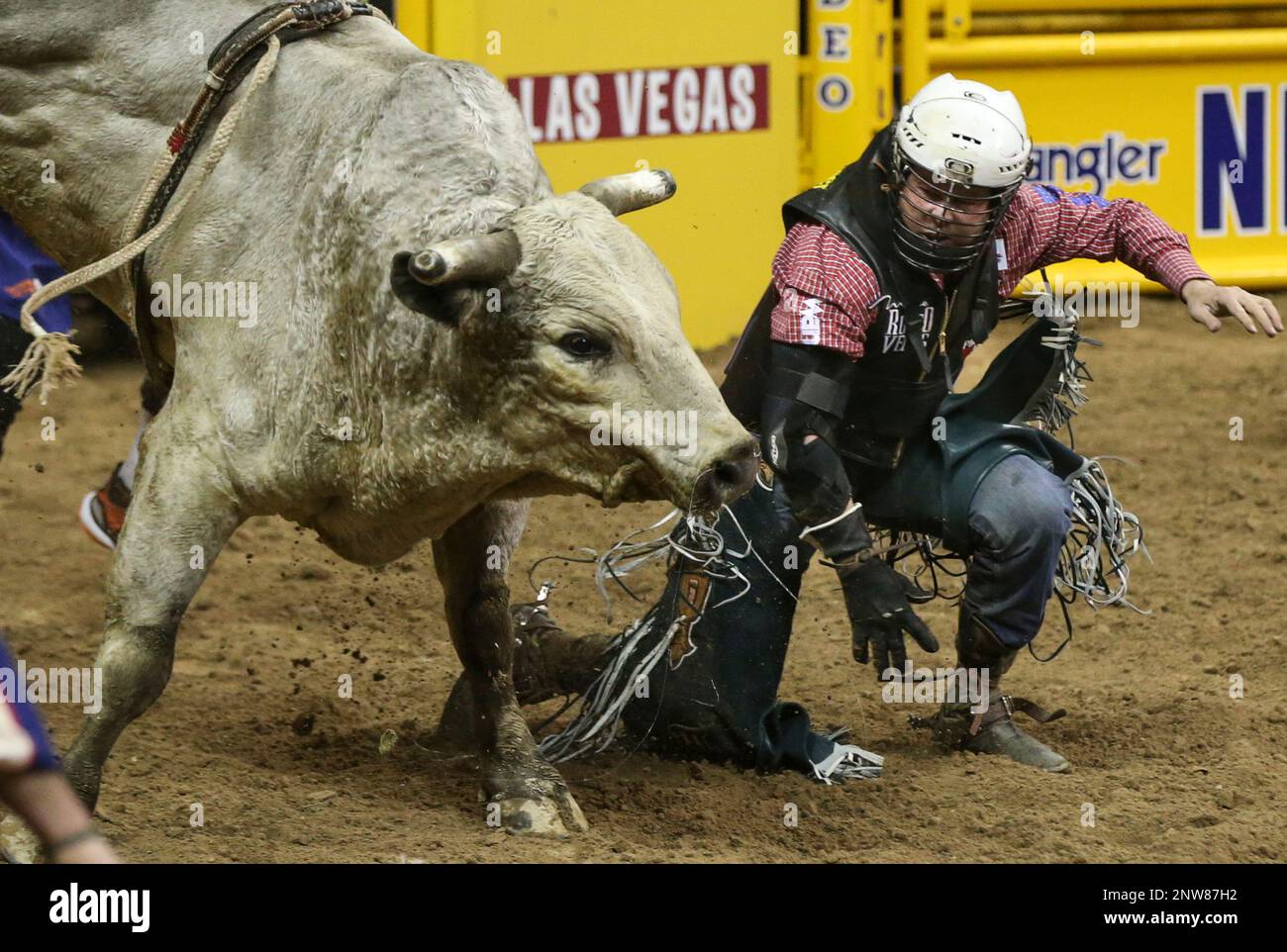 Trey Benton III, of Rock Island, Texas, gets bucked off while competing ...