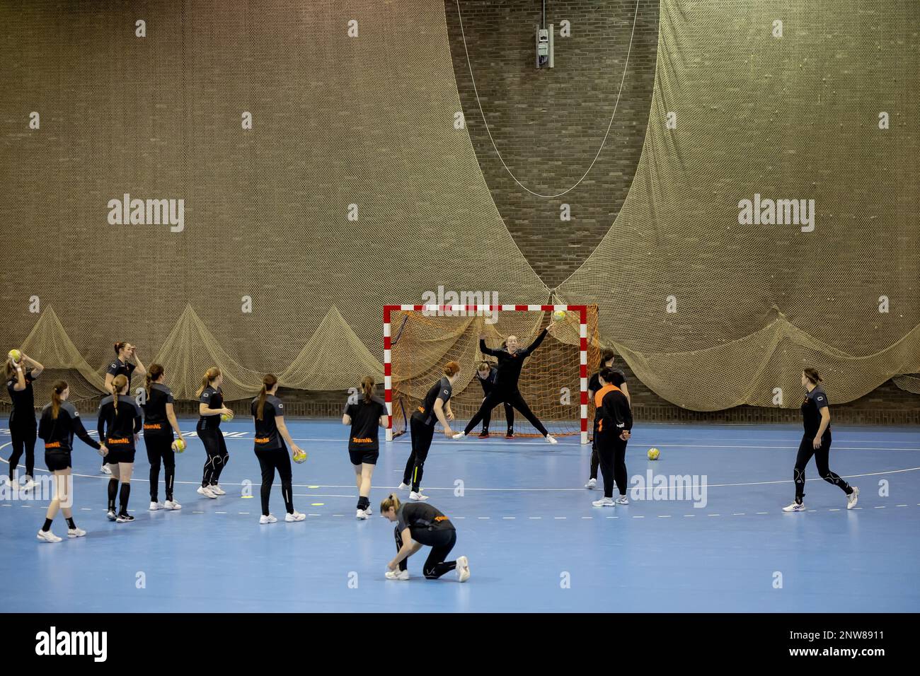 ARNHEM - The selection of TeamNL Women's Handball during training ...