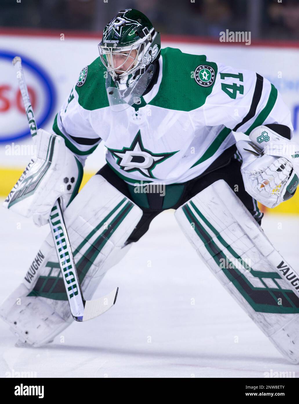 NHL player profile photo on Dallas Stars goalie Landon Bow during a ...