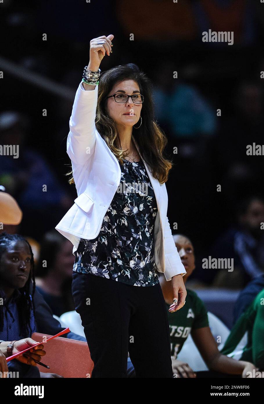 KNOXVILLE, TN - DECEMBER 05: Stetson Hatters head coach Lynn Bria ...