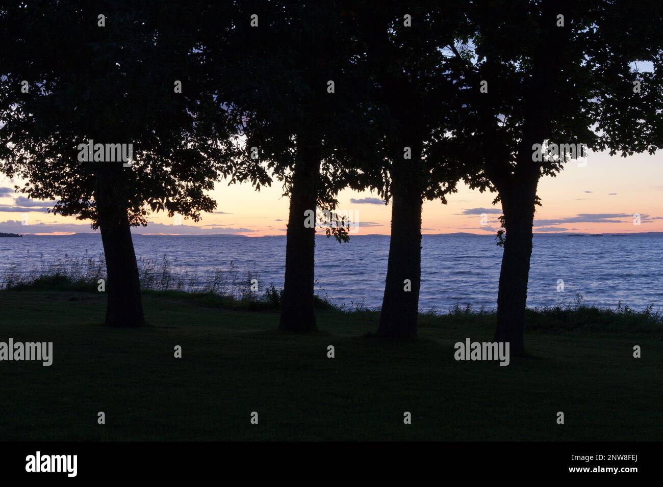 Boardwalk along lake Vättern. Summer evening, nightfall. Trees, lake ...