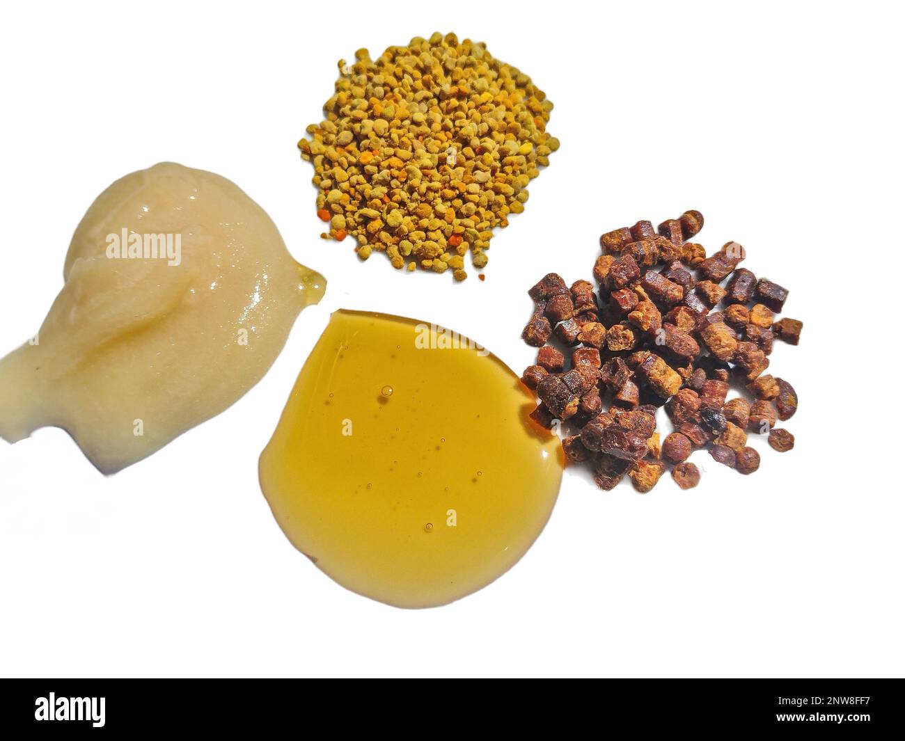 Rapeseed honey and polyflora honey hi-res stock photography and images ...