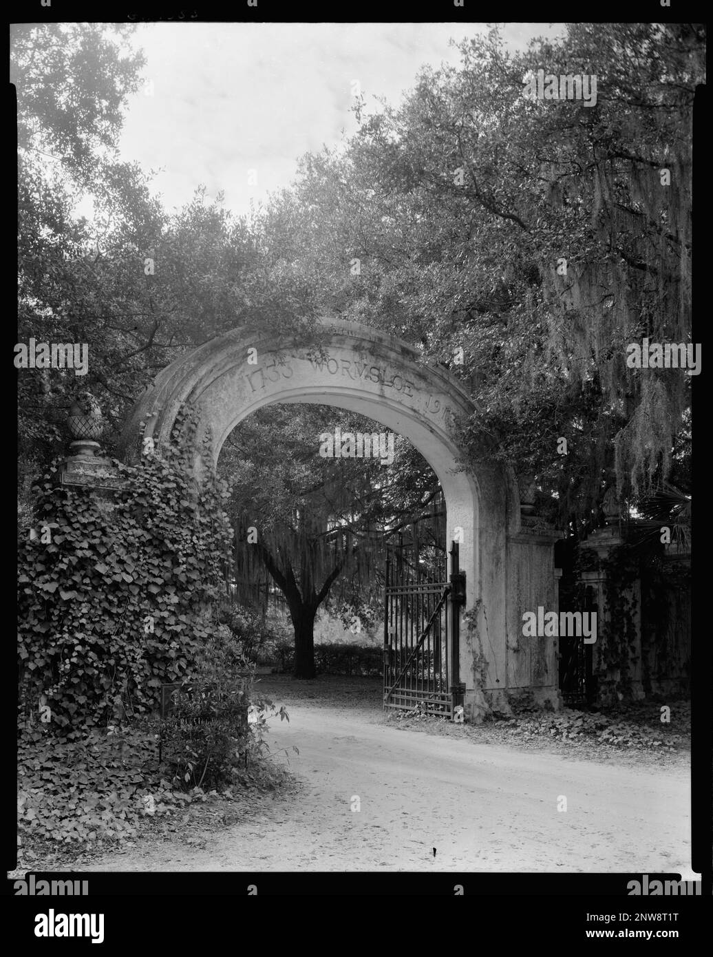 Wormsloe Plantation, Savannah vic., Chatham County, Georgia. Carnegie ...