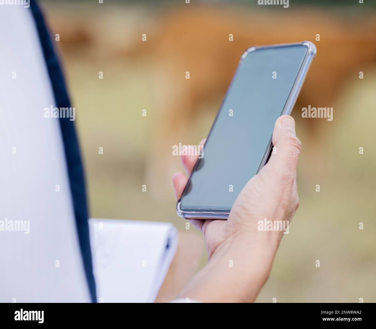 Hands, phone screen and mockup with farmer on farm for advertising ...
