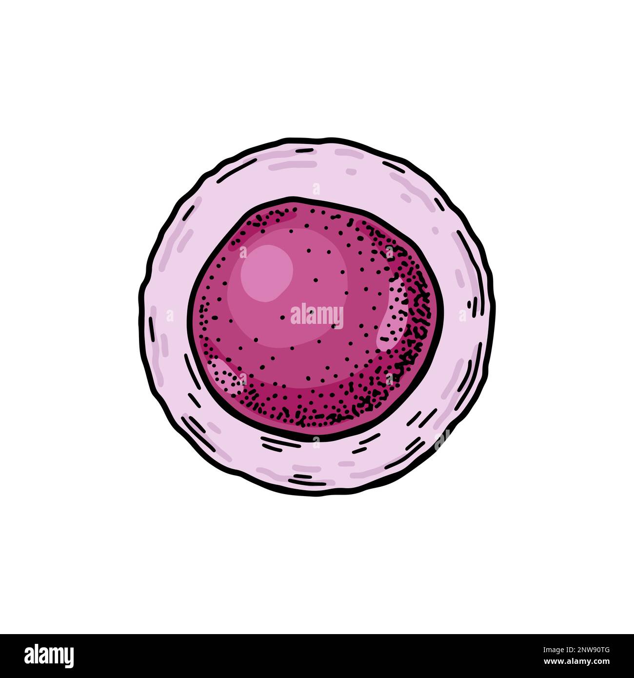 Blood stem cell isolated on white background. Hand drawn scientific microbiology vector ...