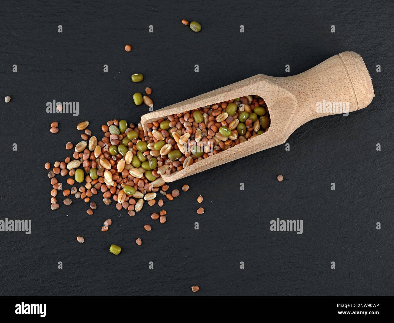 microgreen sprouts on wooden scoop on black slate background, top view ...