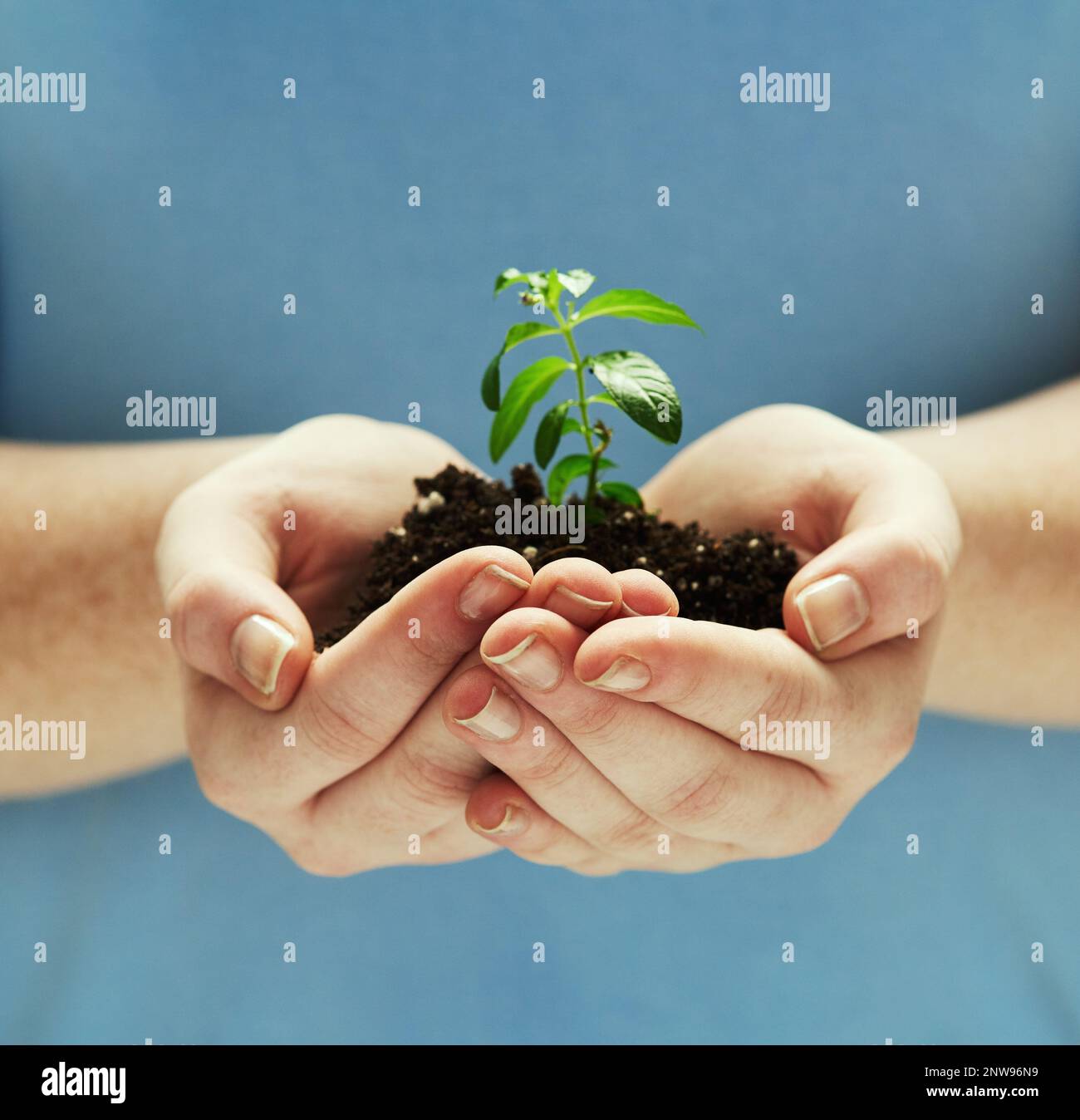 Keep earth clean and green. Shot of hands holding a plant growing out ...