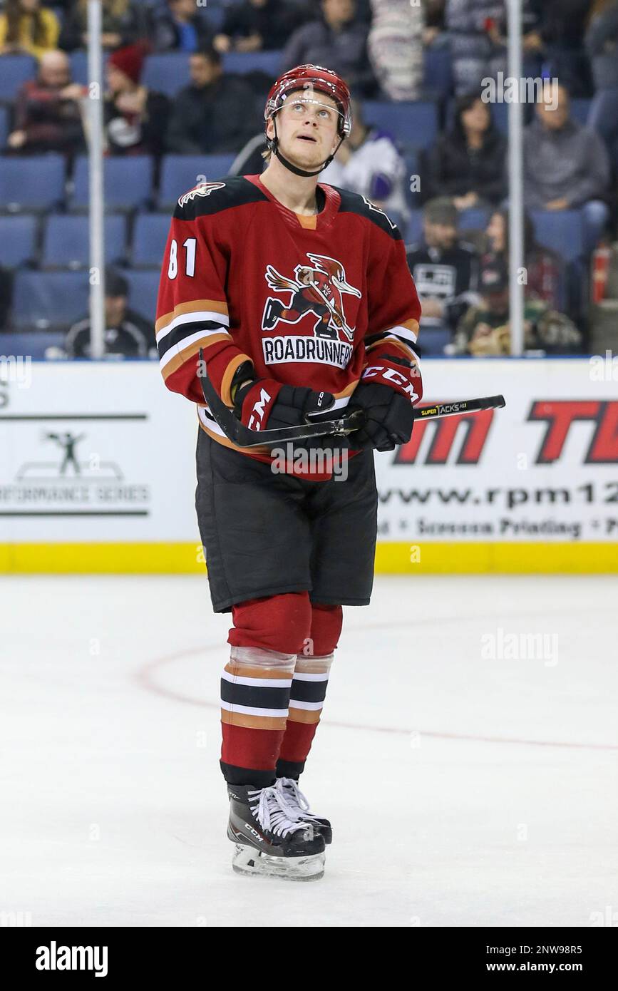 ONTARIO, CA - DECEMBER 02: Tucson Roadrunners Forward Jens Looke (81 ...