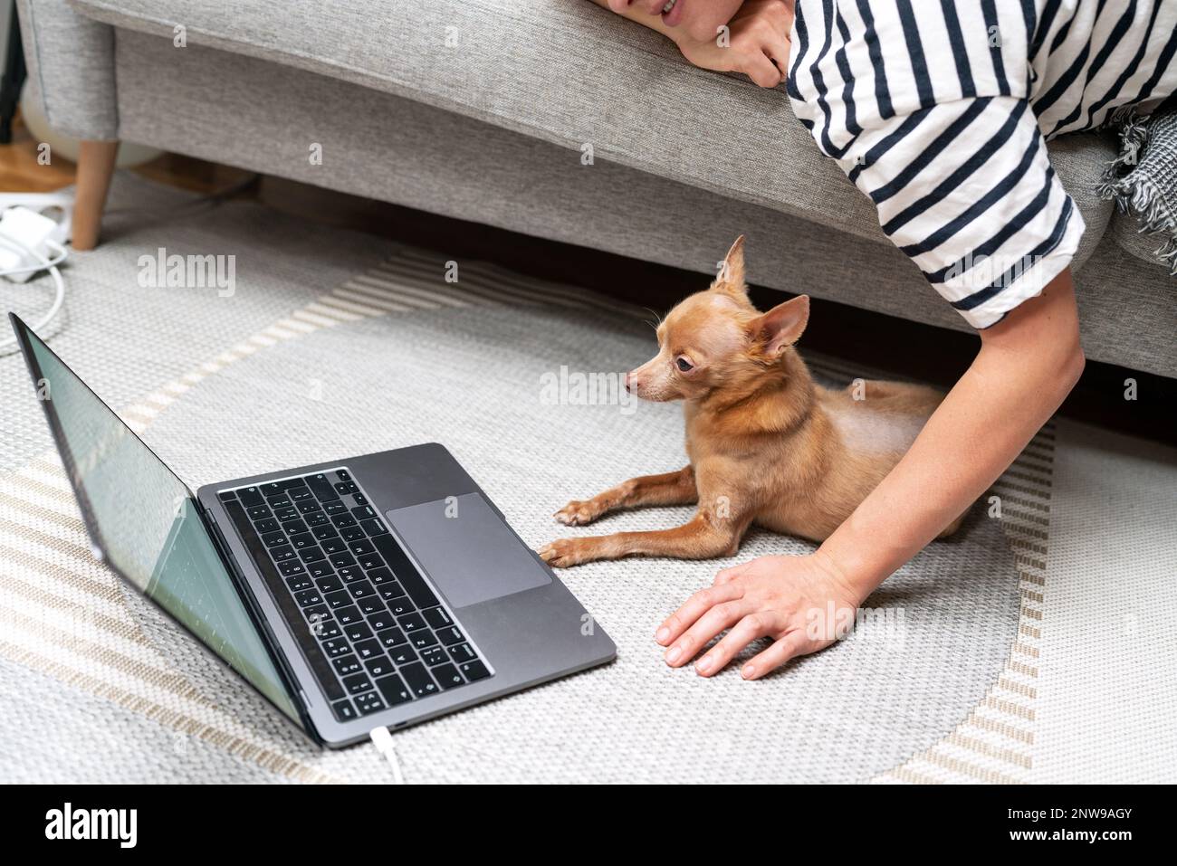 Watching screen of laptop hi-res stock photography and images - Alamy
