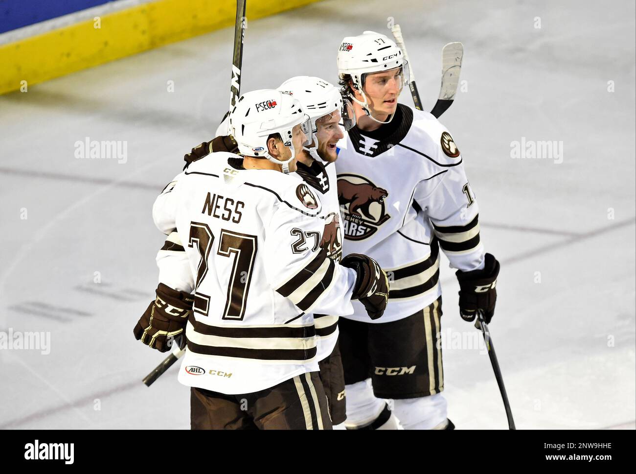 HERSHEY, PA - DECEMBER 01: Hershey Bears defenseman Aaron Ness (27) and ...