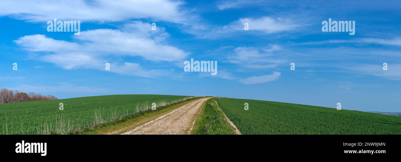 Bignor park hi-res stock photography and images - Alamy