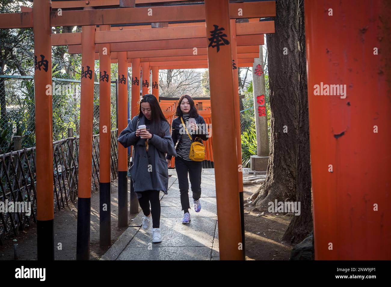Women walking Amongst Tori Gates At Hanazono Inari Shrine, in Ueno Park ...