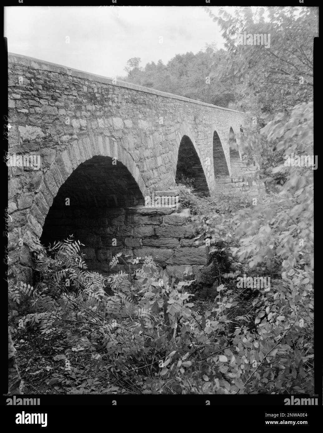 La Gore, Frederick County, Maryland. Carnegie Survey of the ...