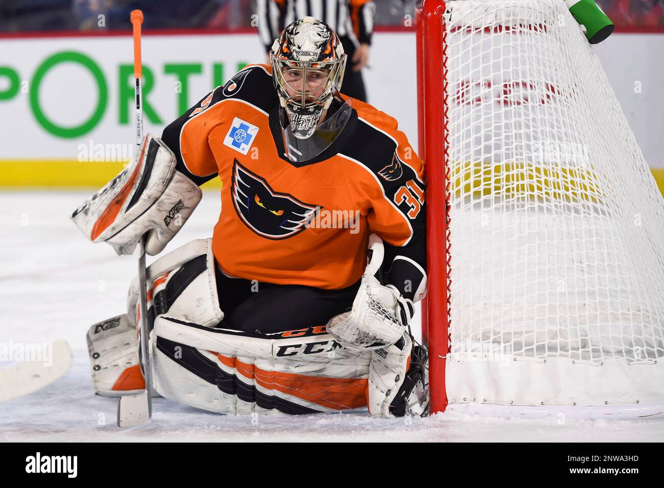 LAVAL, QC - NOVEMBER 30: Lehigh Valley Phantoms goalie Carter Hart (31 ...