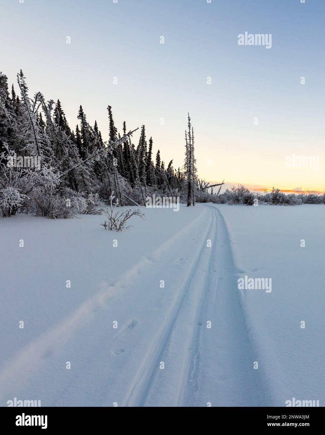 Stunning winter wonderland views in Northern Canada along the Yukon ...