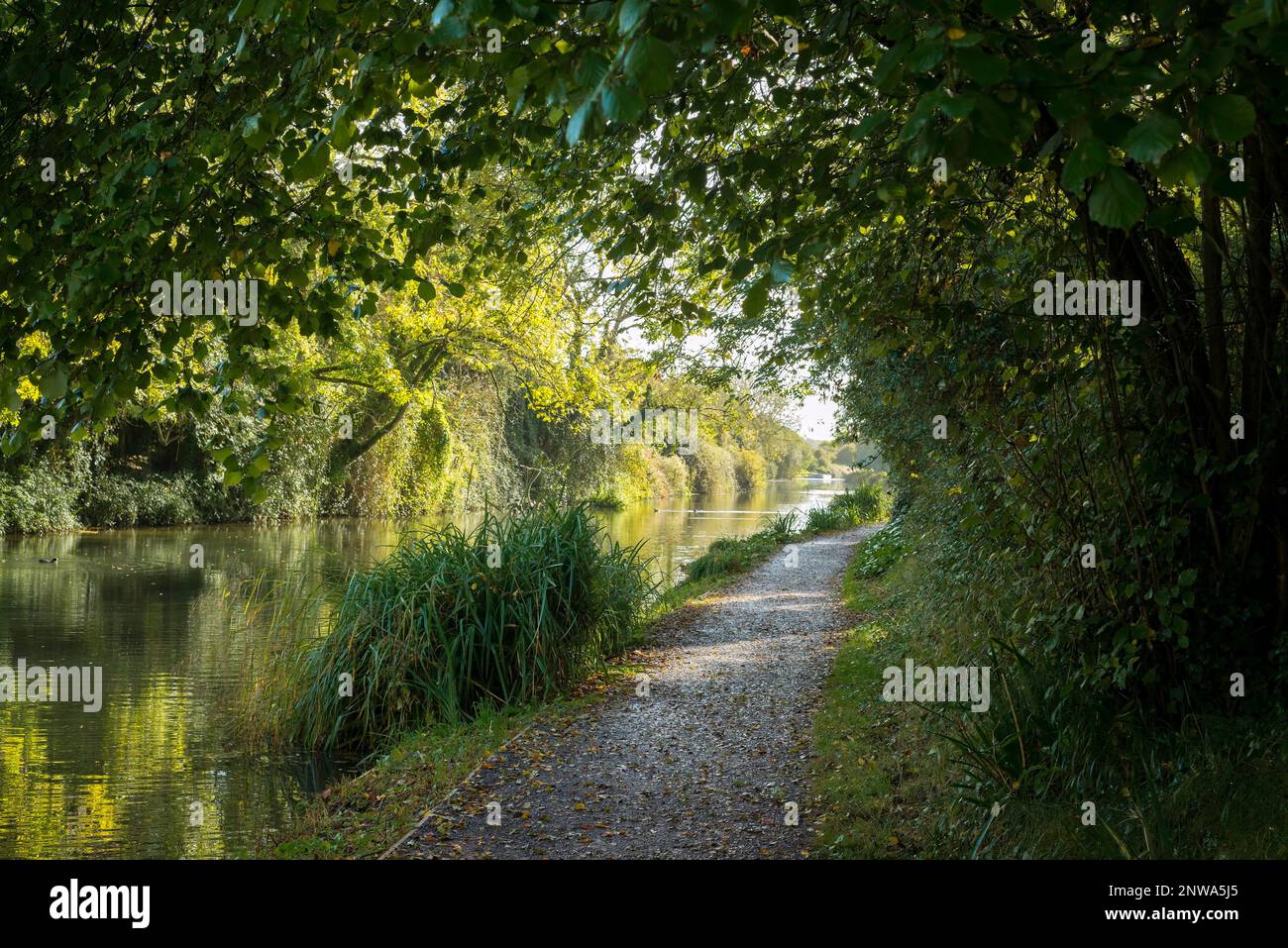 Chichester the lavant river, West Sussex, UK Stock Photo - Alamy
