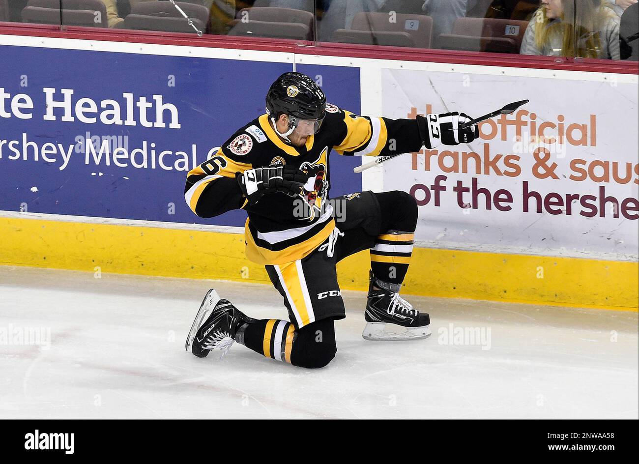 HERSHEY, PA - NOVEMBER 28: Wilkes-Barre/Scranton Penguins center Thomas ...