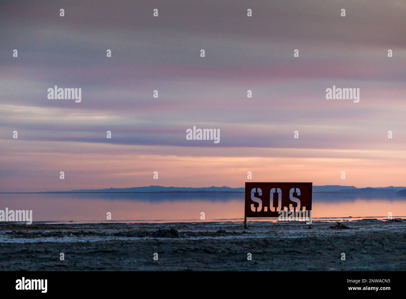 Artists in Bombay Beach, a town on the eastern shore of the drought ...