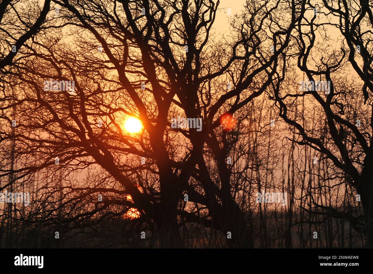 Low focal range hi-res stock photography and images - Alamy