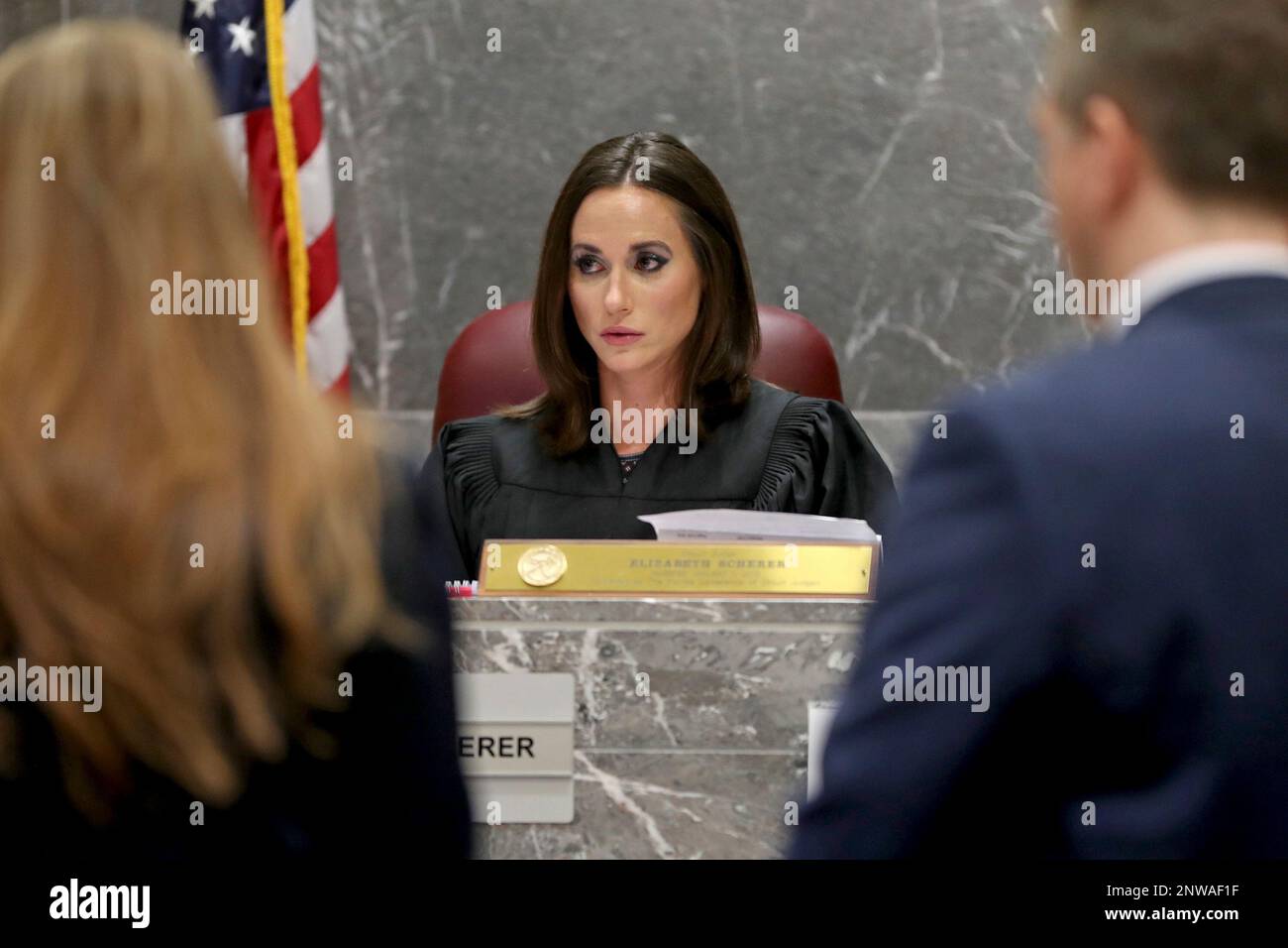 Judge Elizabeth Scherer presides over a hearing for Florida school ...