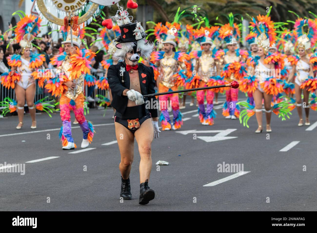 SANTA CRUZ DE TENERIFE, SPAIN - FEBRUARY 21, 2023: Coso parade - along the Avenida de Anaga ...
