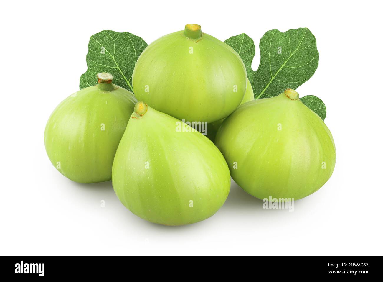 Ripe green fig fruit isolated on white background with full depth of ...