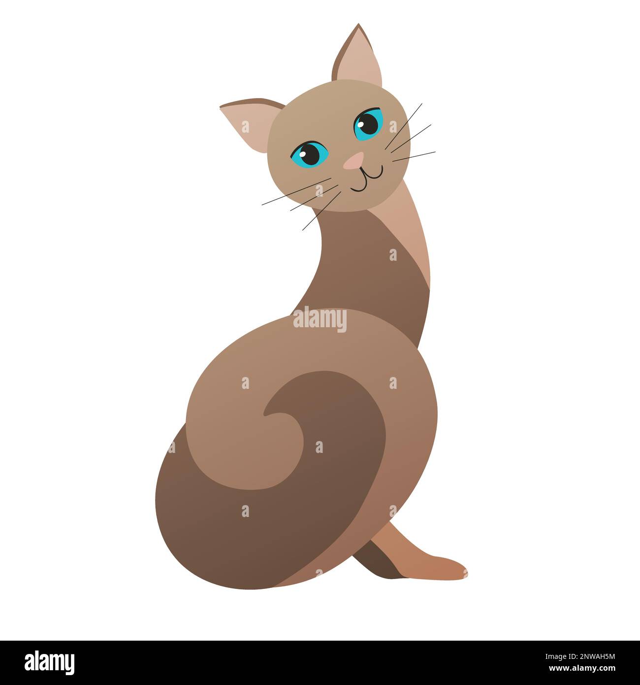 Adorable breed cat. Domestic fluffy pet, family friend animal vector ...