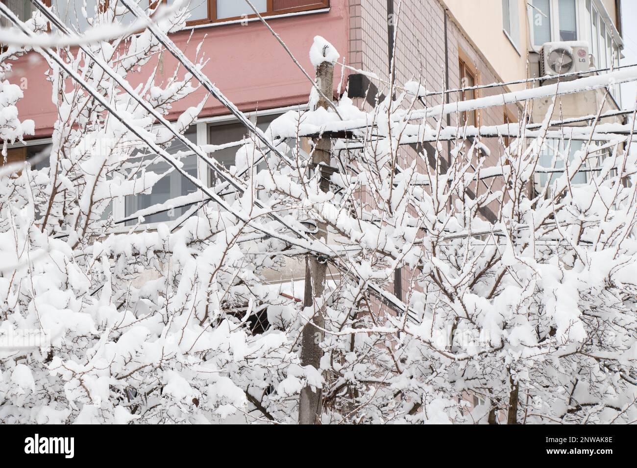Electric wires in the snow with ice on a pole in a residential area of ...