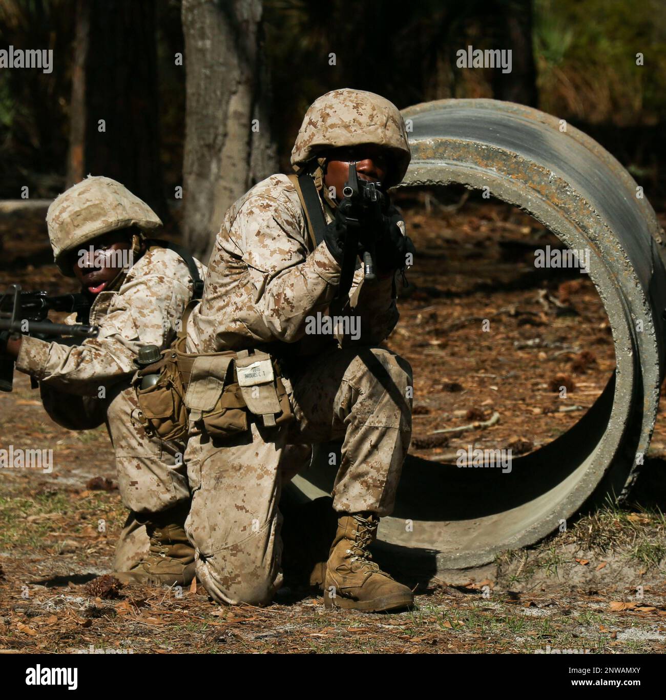 Recruits with Charlie Company, 1st Recruit Training Battalion, run ...
