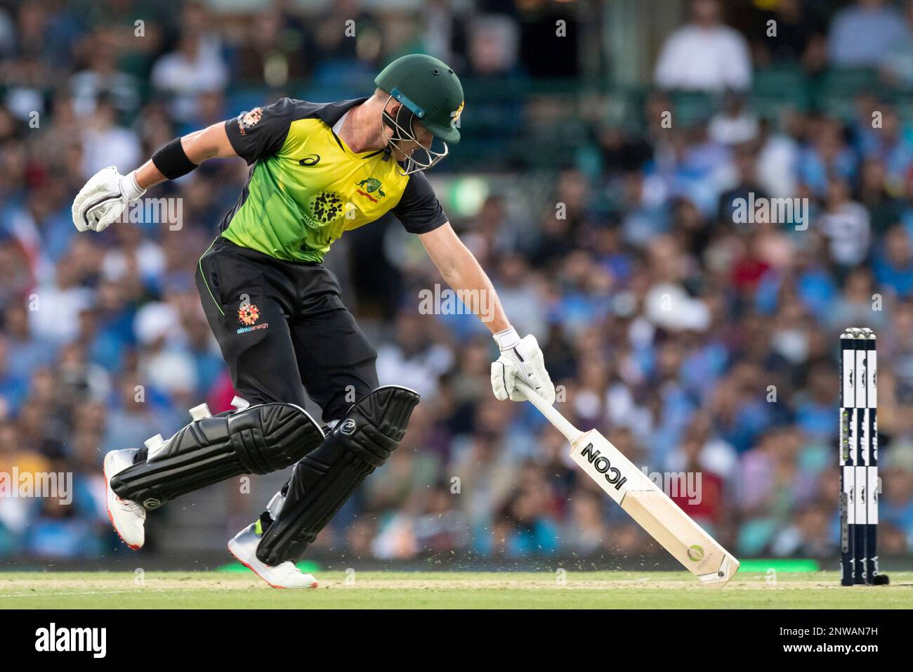 SYDNEY, AUSTRALIA - NOVEMBER 25: Australian player D'Arcy Short just ...