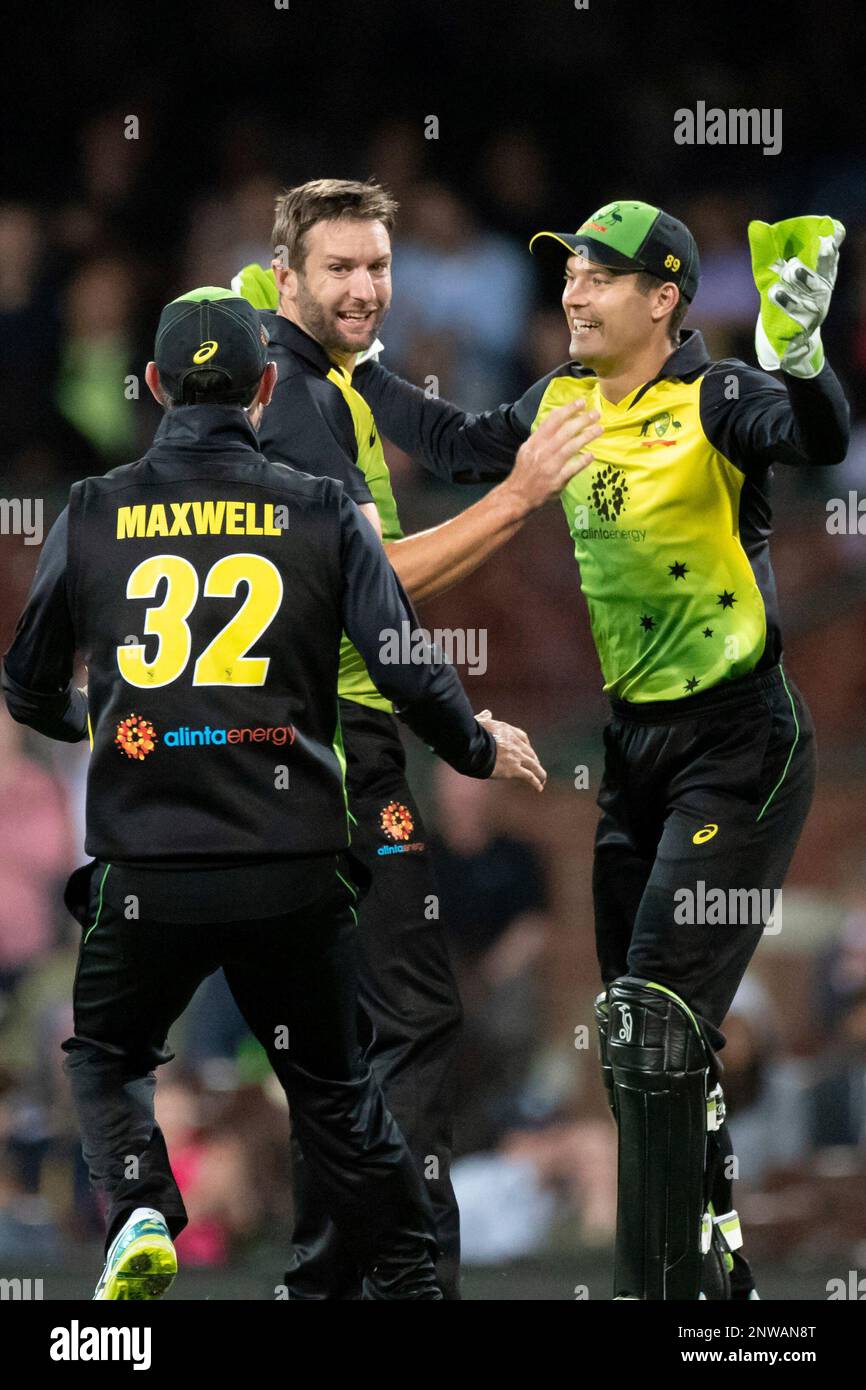 SYDNEY, AUSTRALIA - NOVEMBER 25: Australian player Alex Carey (wk ...