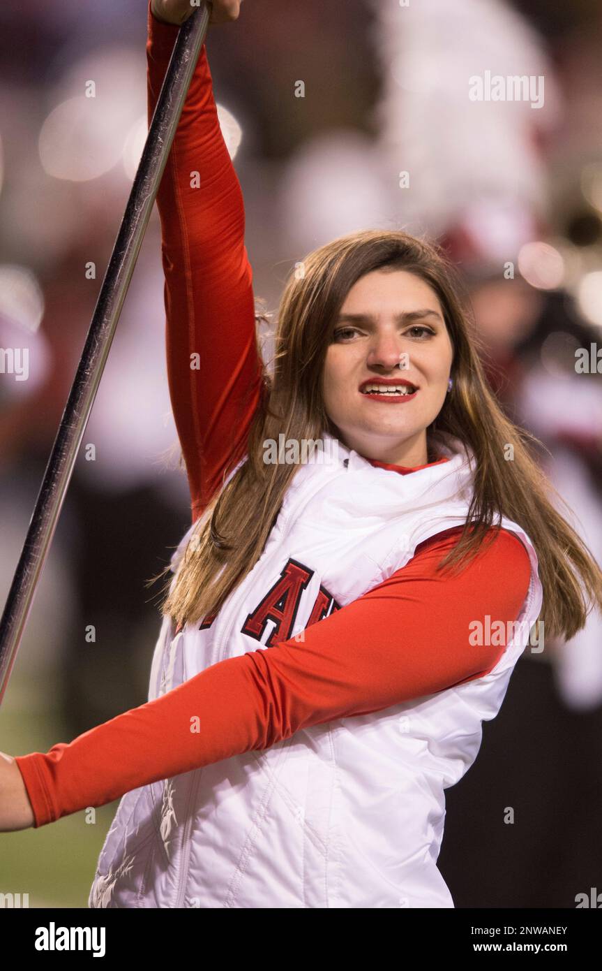 SALT LAKE CITY, UT - NOVEMBER 24: A Utah cheerleader during a game ...