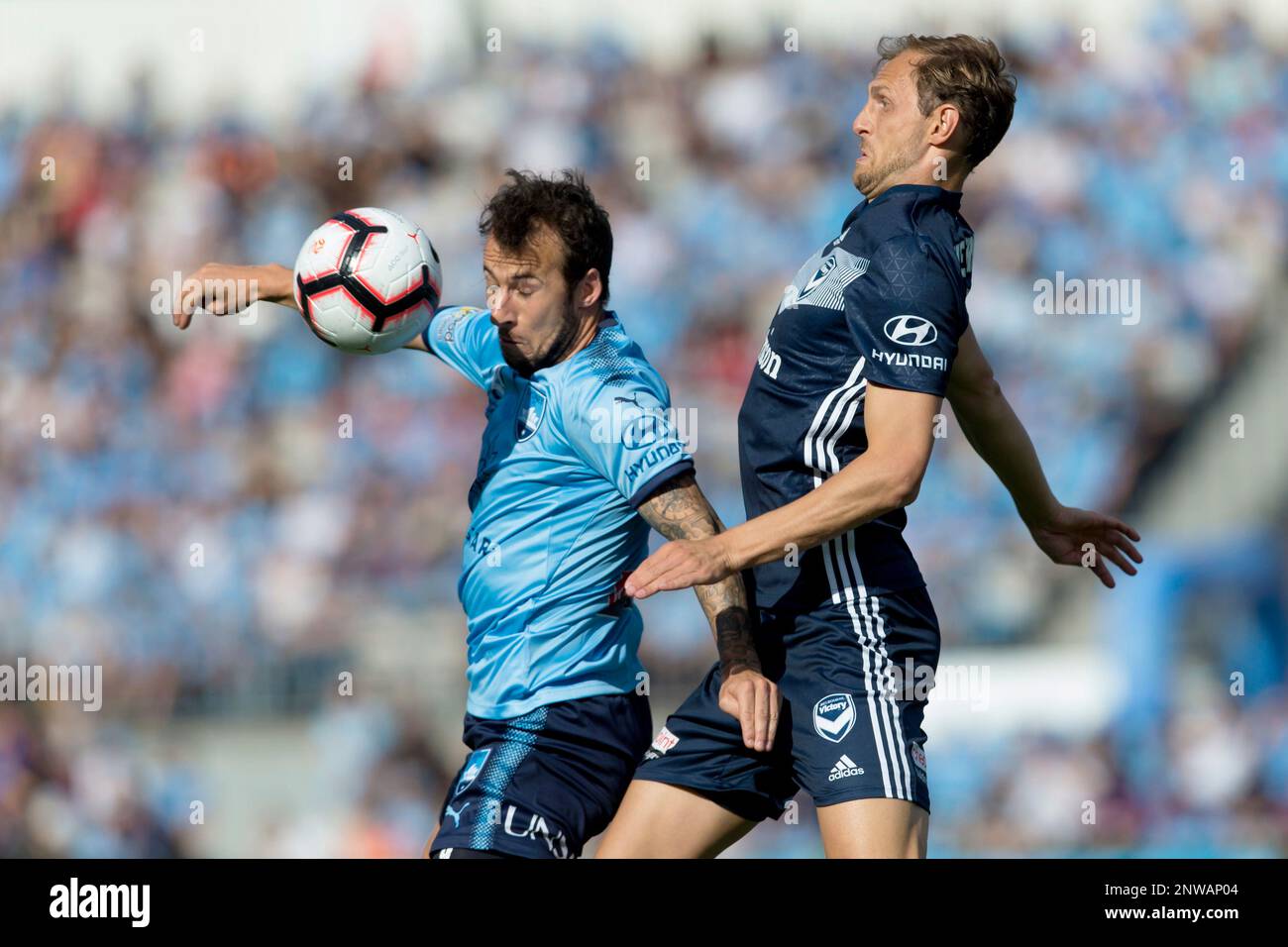 SYDNEY, AUSTRALIA - NOVEMBER 25: Sydney FC forward Adam Le Fondre (9) and Melbourne Victory ...
