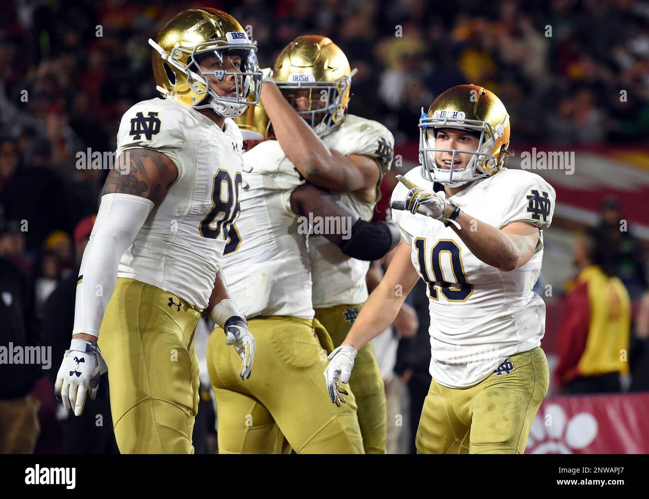 LOS ANGELES, CA - NOVEMBER 24: Notre Dame (10) Chris Finke (WR ...