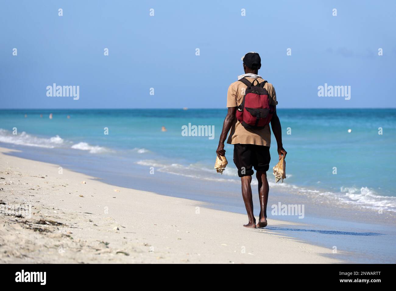 Black man with seashells in hands walking on ocean beach along sea ...