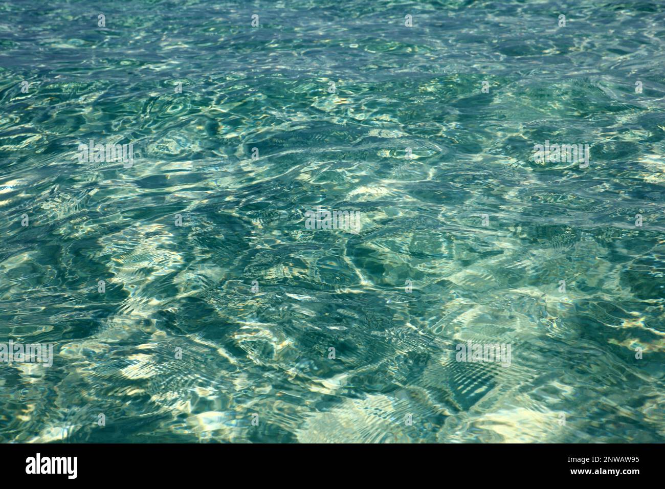 Turquoise Water Texture The Turquoise Sea Water Texture | Premium