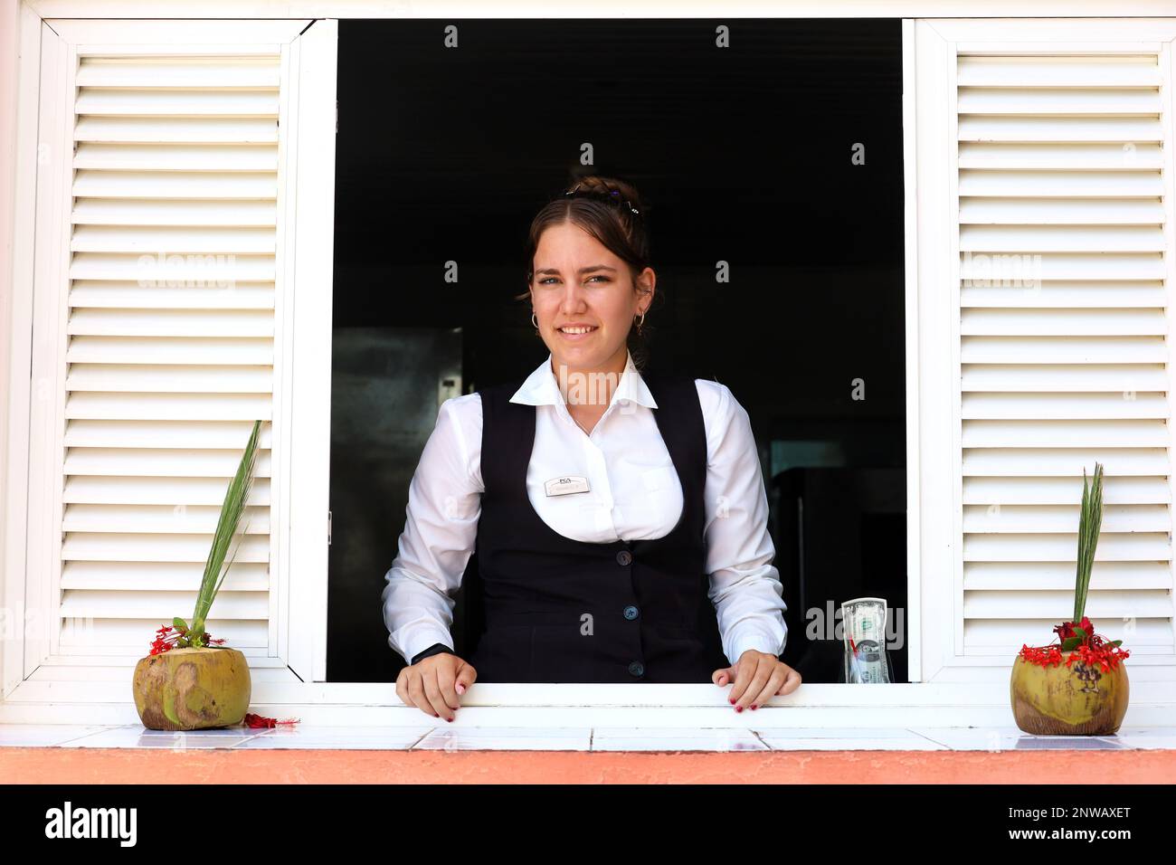 Happy barmaid hi-res stock photography and images - Alamy