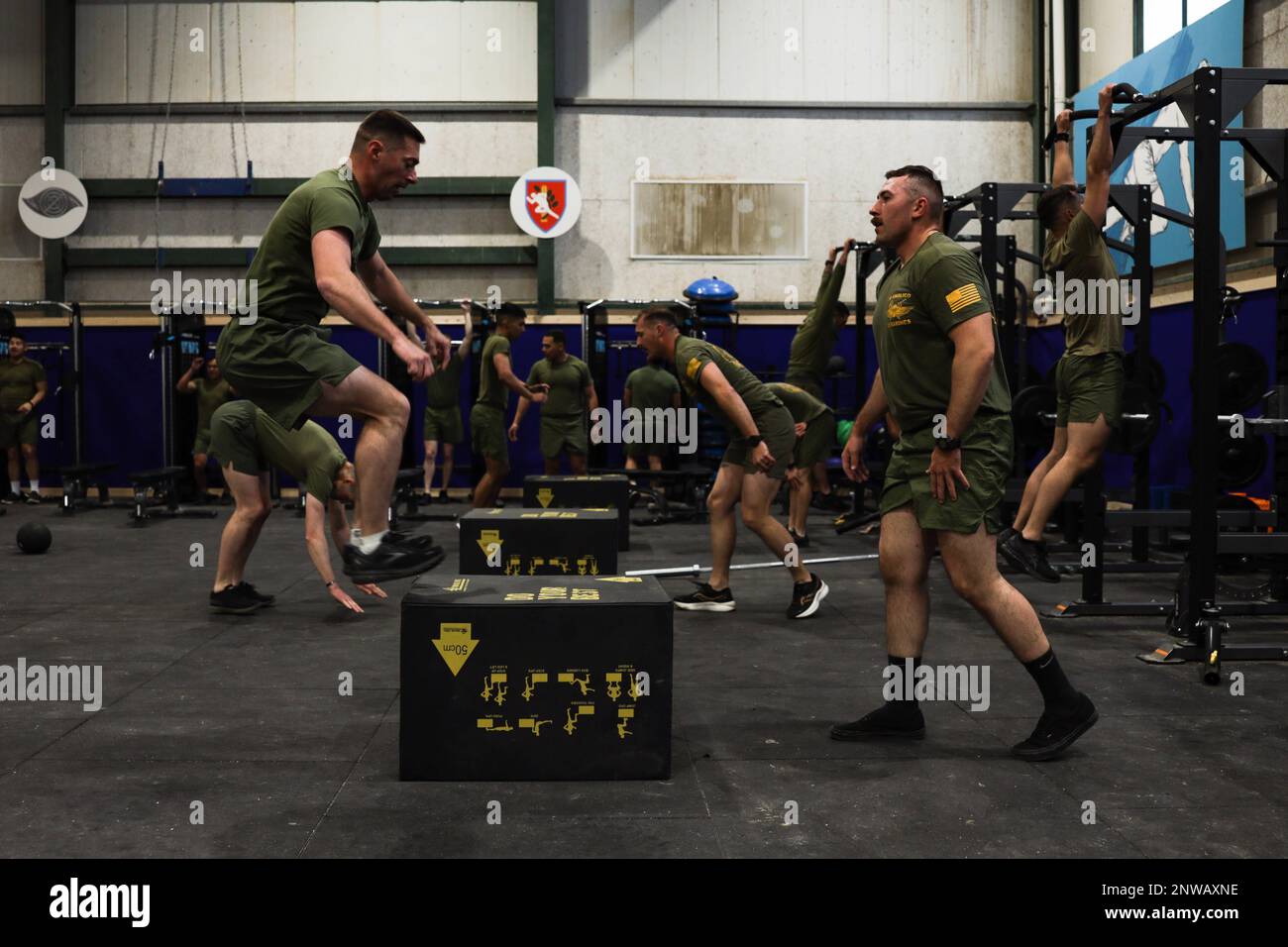 U.S. Marines with 3rd Air Naval Gunfire Liaison Company, U.S. Marine ...