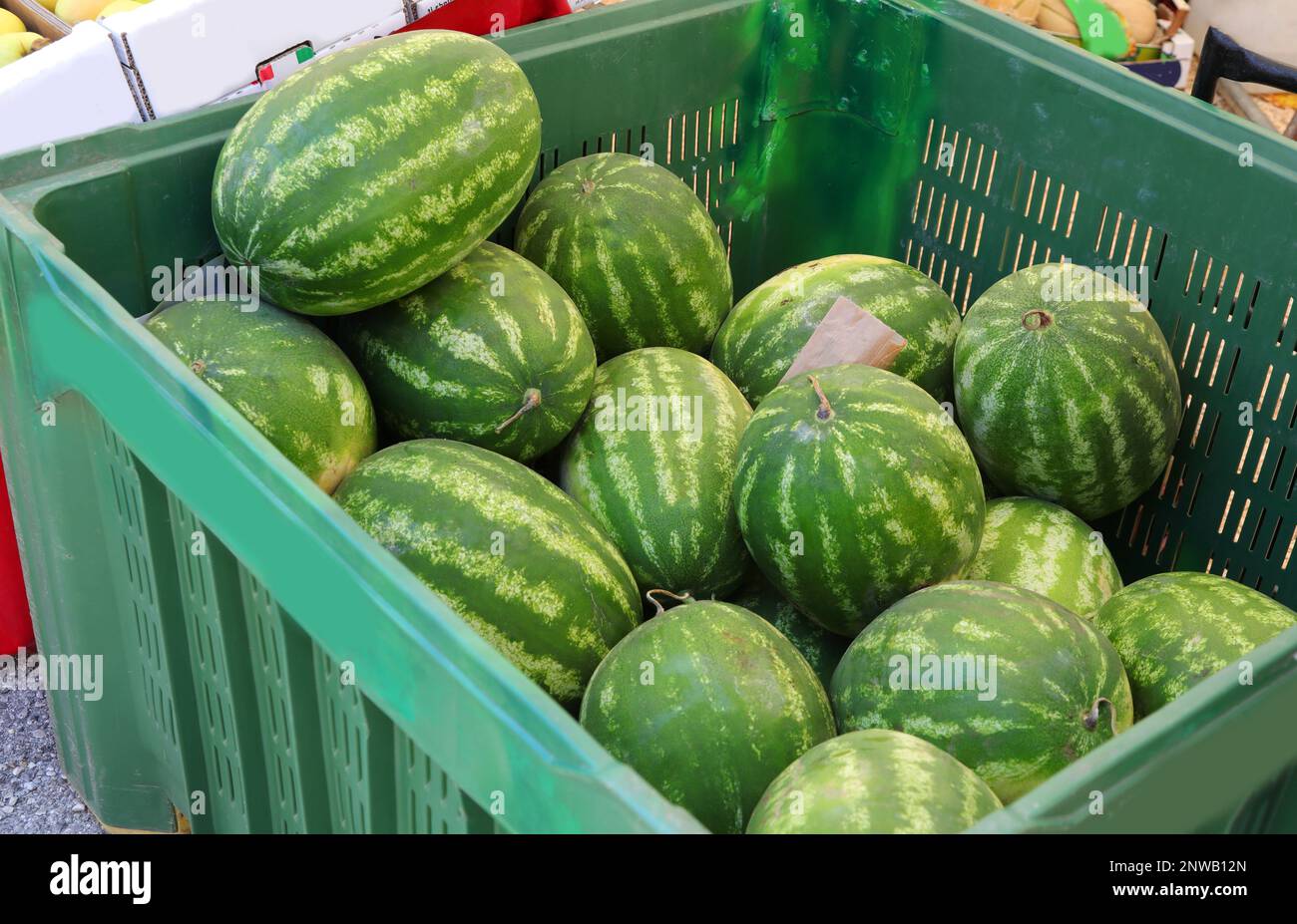 Watermelons watermelon crates crate hi-res stock photography and images ...
