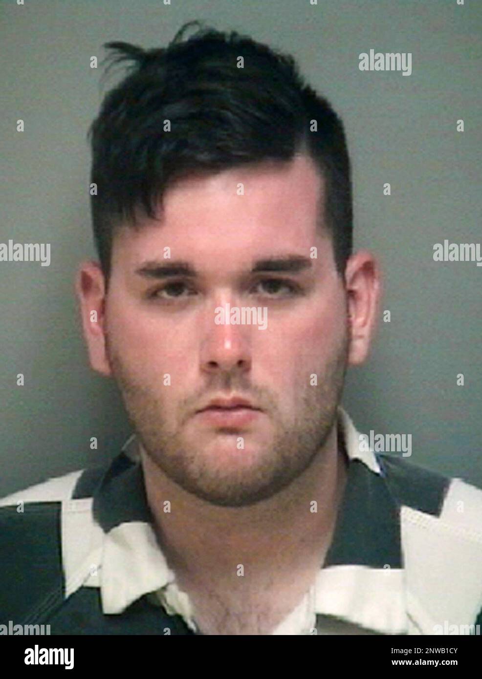 FILE - This undated file photo provided by the Albemarle ...