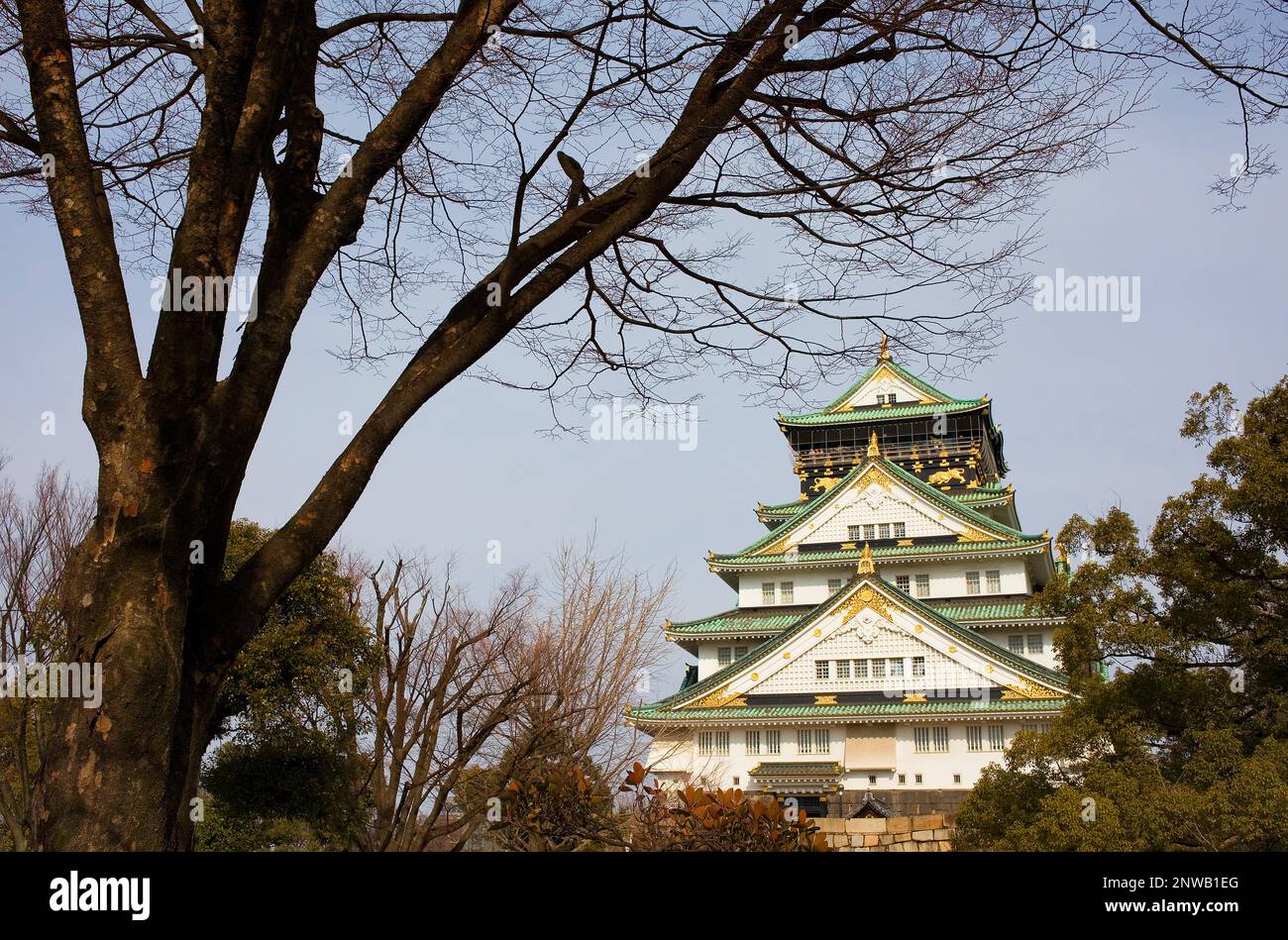 Osaka castle,Osaka, Japan,Asia Stock Photo - Alamy