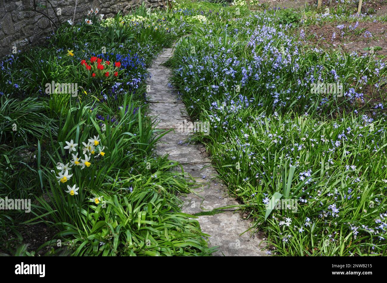 Garden path through spring flowers Stock Photo - Alamy
