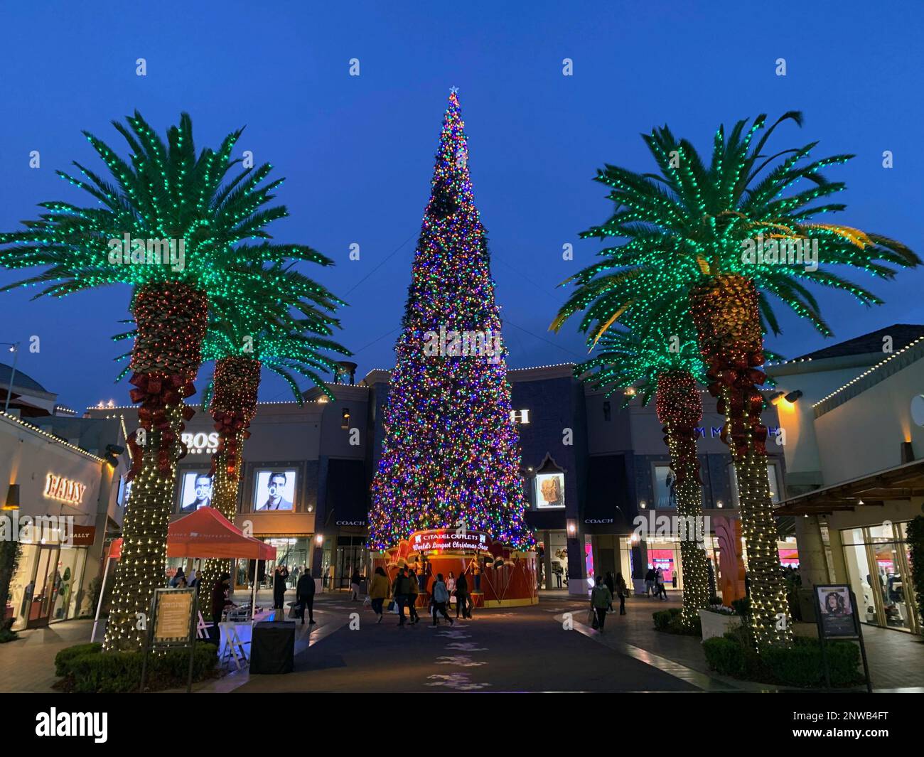 General overall view of a Christmas tree and lights at the Citadel ...