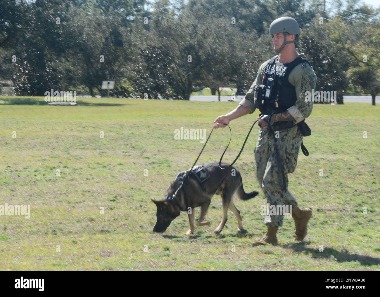 Response preparation hi-res stock photography and images - Alamy