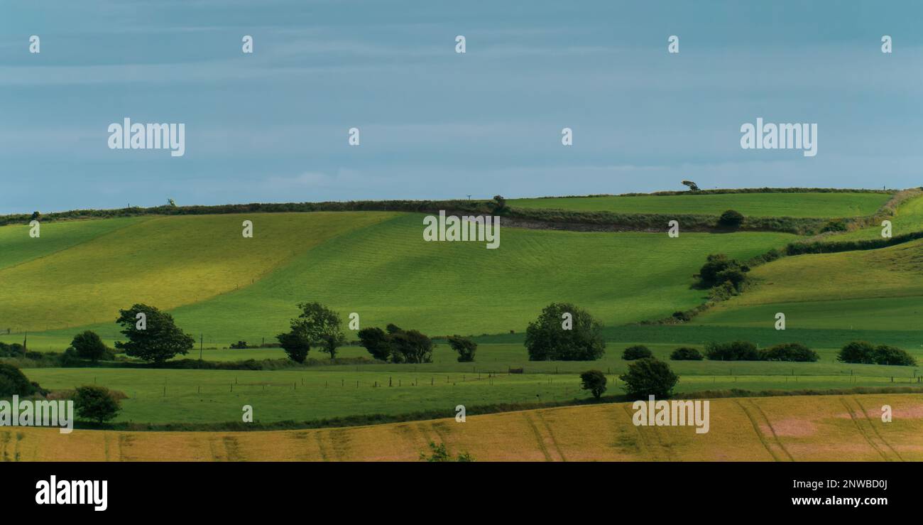 Picturesque agricultural landscape. Green hills under a blue sky. Hilly ...